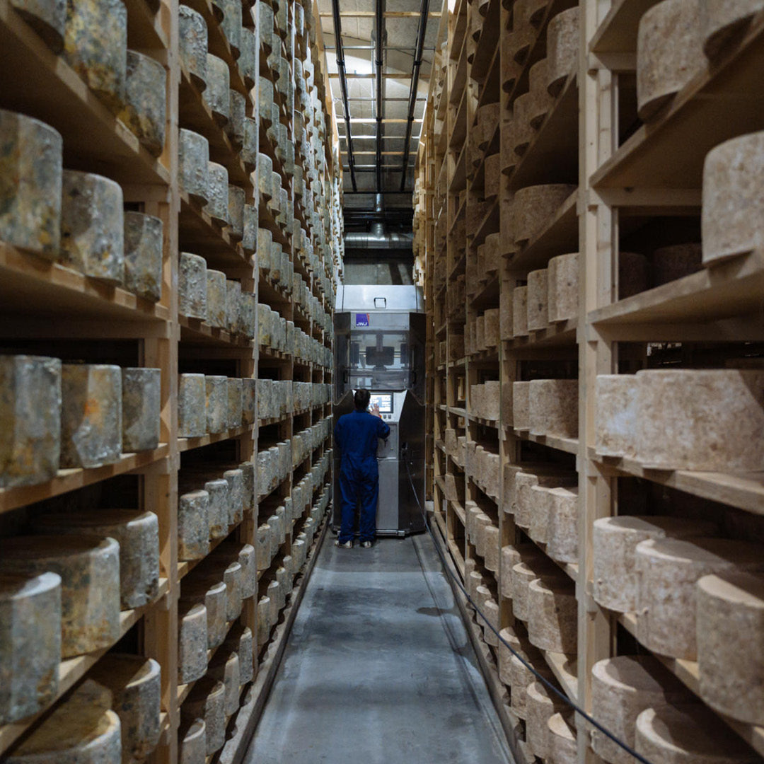 Milk, Microbes, Mites And Robots: Interview With Tom Calver